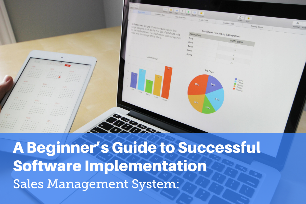 Sales Management System: A Beginner’s Guide to A Successful Software ...